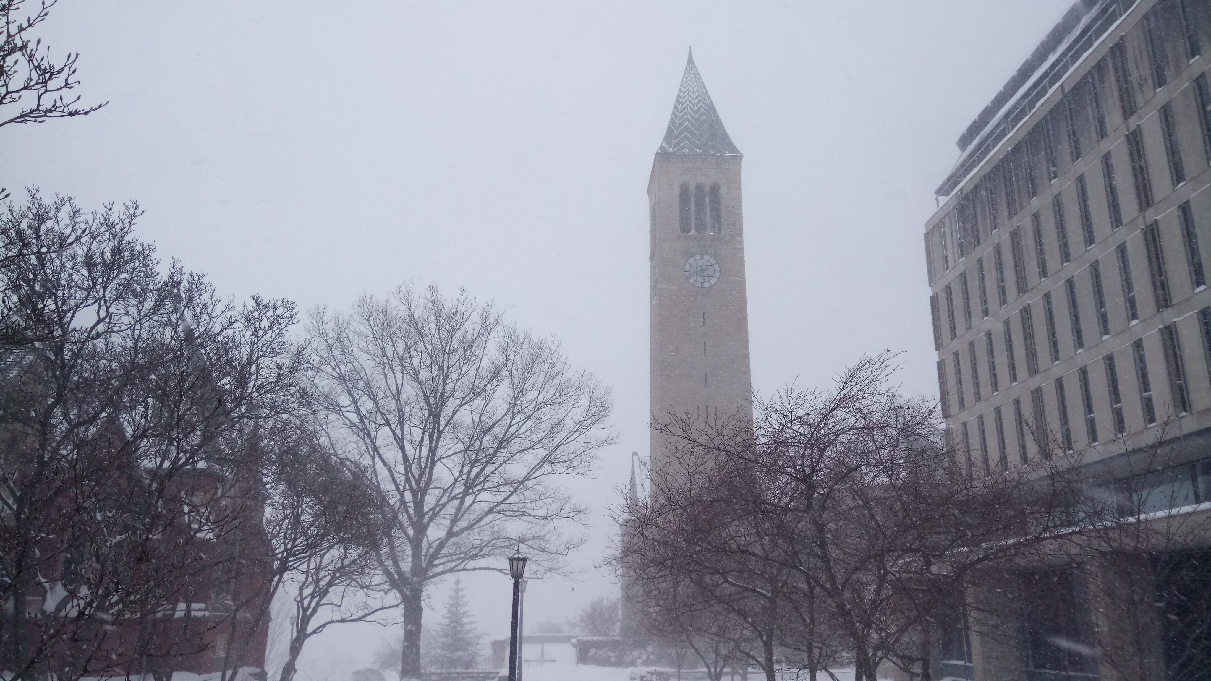 MATH 1106 - Spring 2017