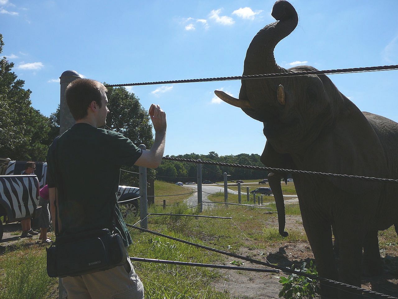 I feed an elephant.